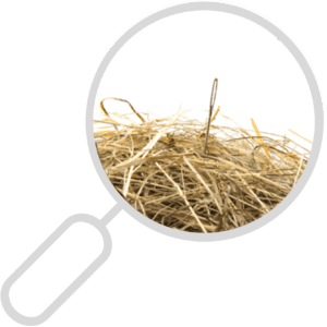 Buy-Side Advisory - EdgePoint